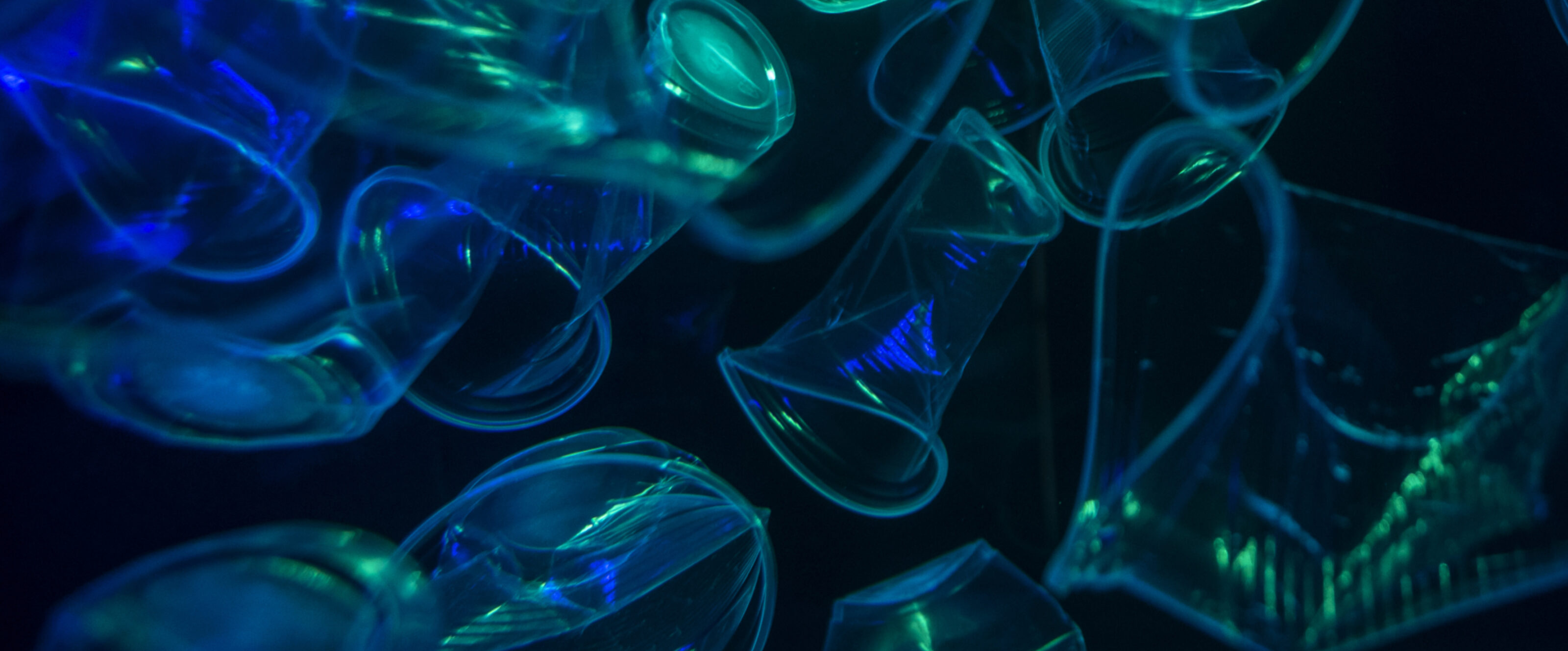 Why lifecycle solutions are needed to tackle marine plastic pollution ...