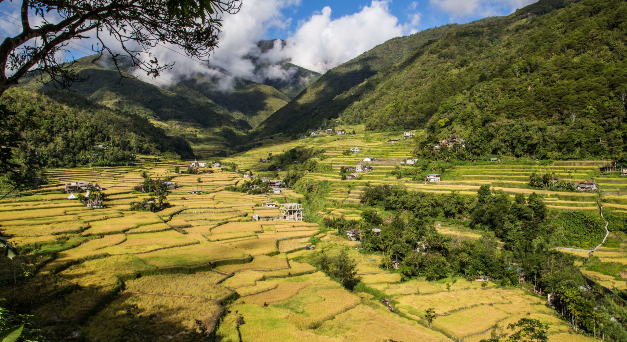 A circular shift in the food system can help to avert the triple ...