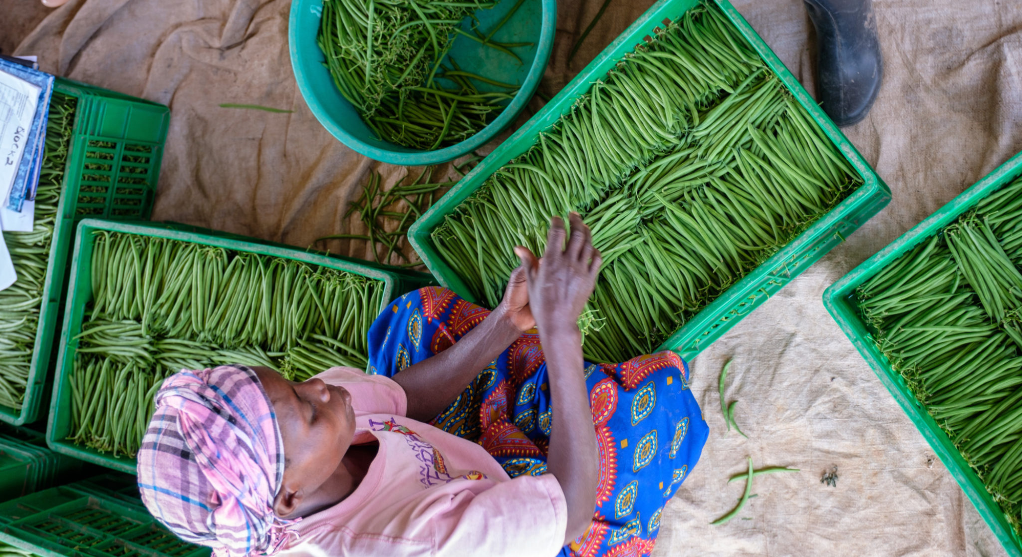 How trade with the UK affects food and nutrition security in developing ...